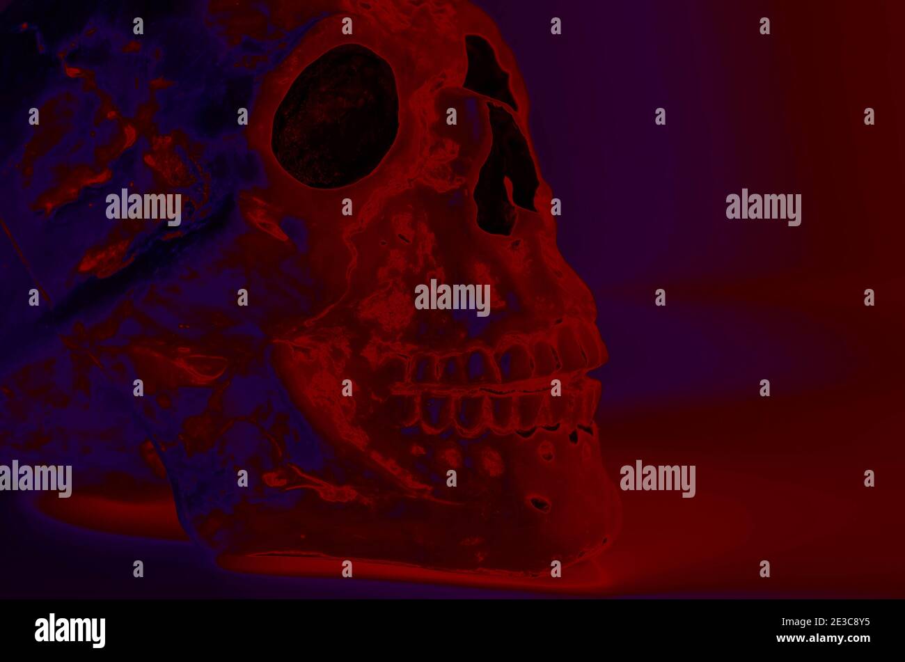 Illustration of a scary skeleton of a human skull, typical cartoon for ...