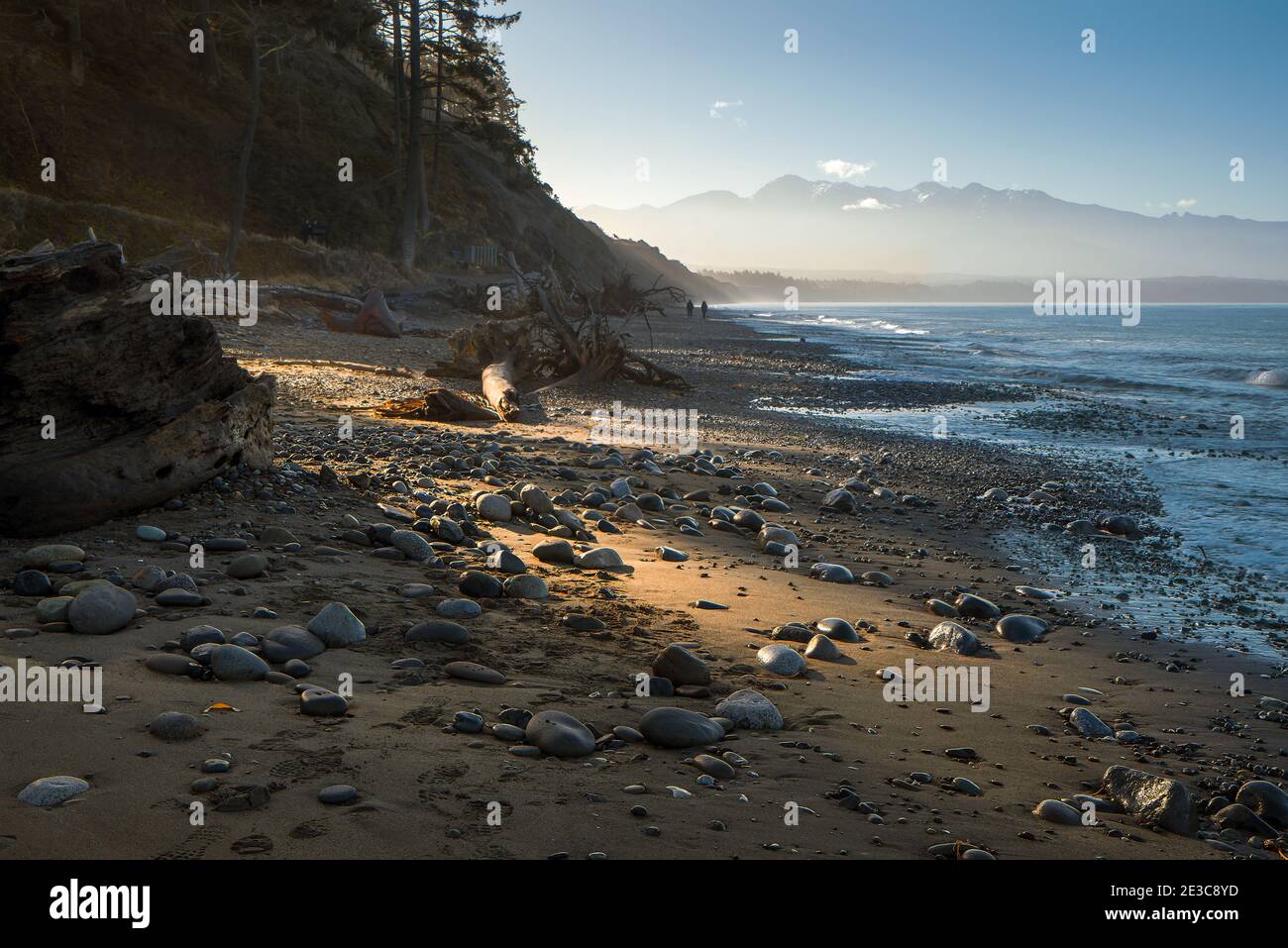 Rocky beach expanse in the Pacific Northwest Stock Photo - Alamy