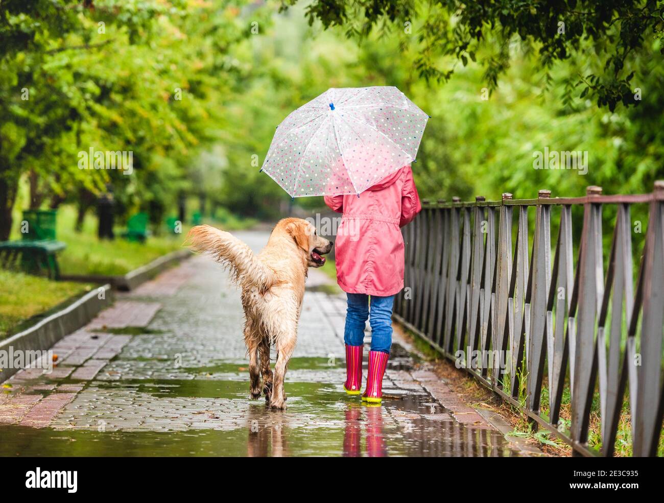 Little girl walking dog under rain Stock Photo - Alamy