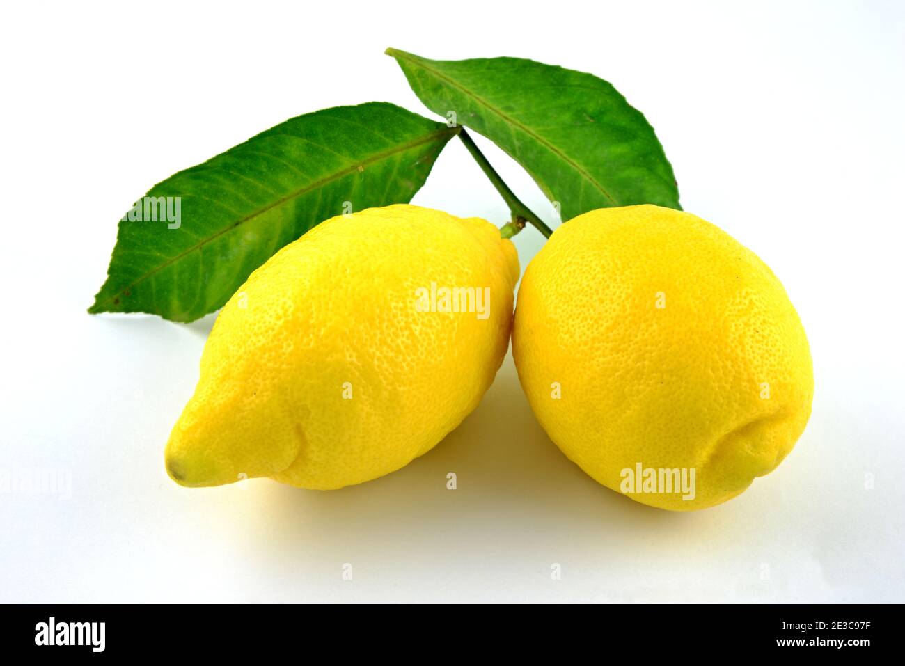Two yellow lemons with green leaves on white background. Fresh citrus ...