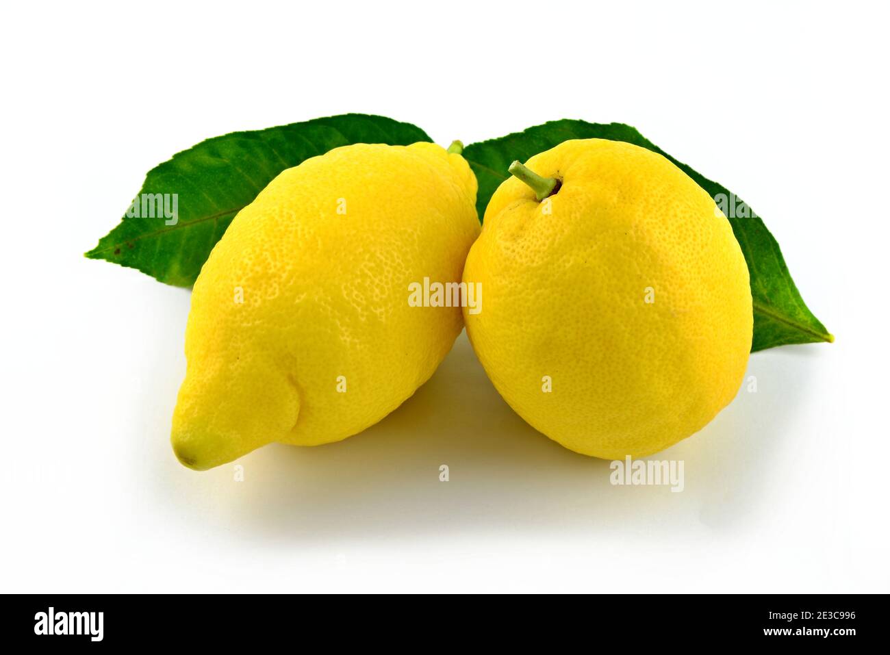 Two yellow lemons with green leaves on white background. Fresh citrus ...