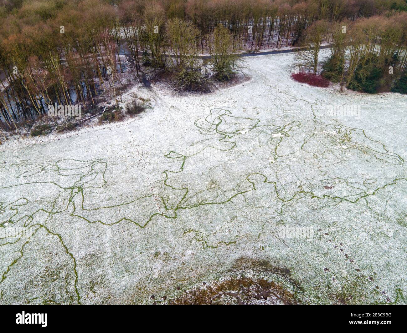 Sloterpark amsterdam amsterdam hi-res stock photography and images - Alamy