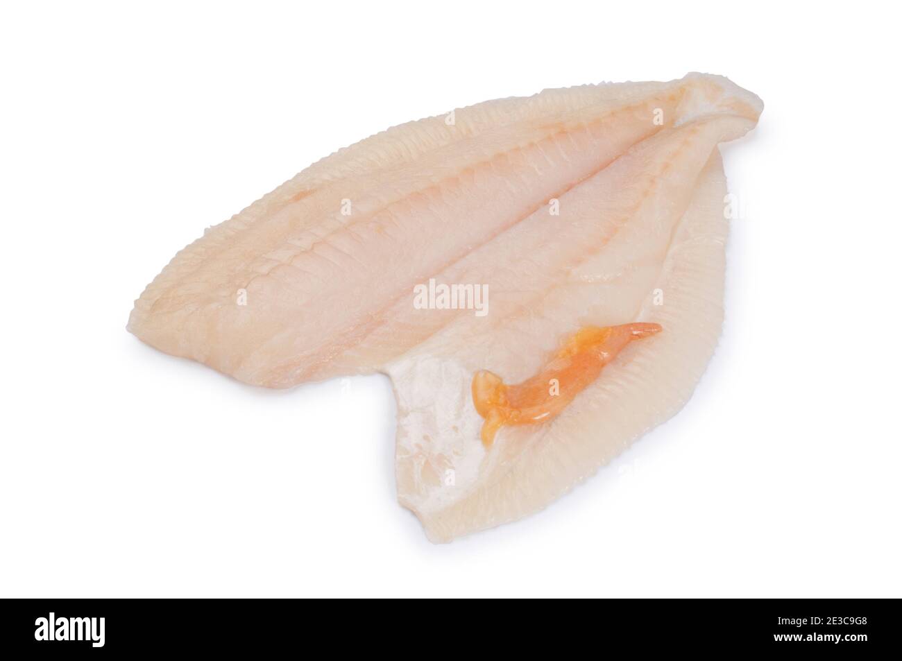 Flounder cut out hi-res stock photography and images - Alamy