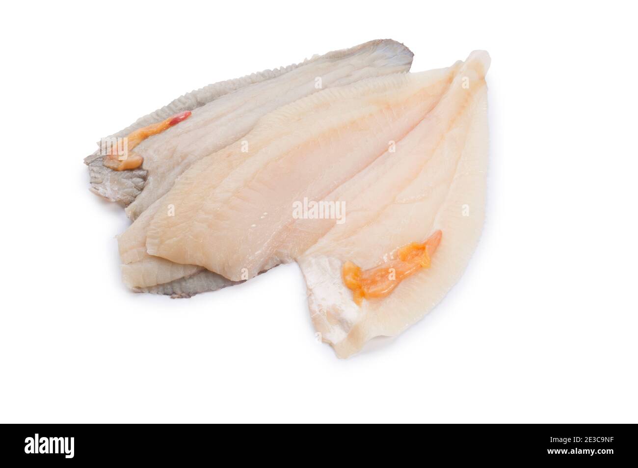 Flounder cut out hi-res stock photography and images - Alamy