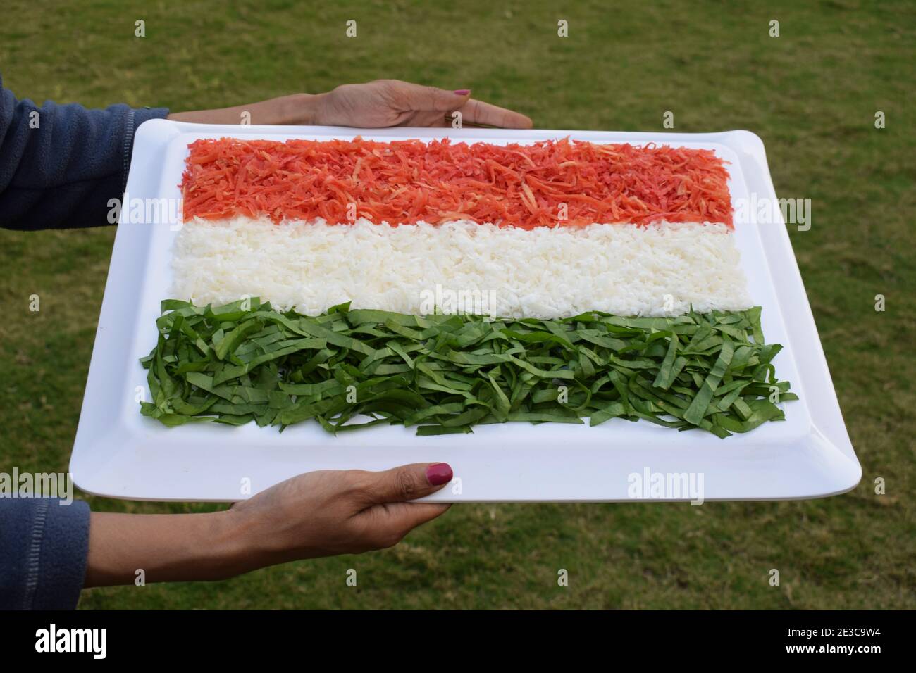 Indian flag tri colors depicted by food salad like spinach, radish and ...