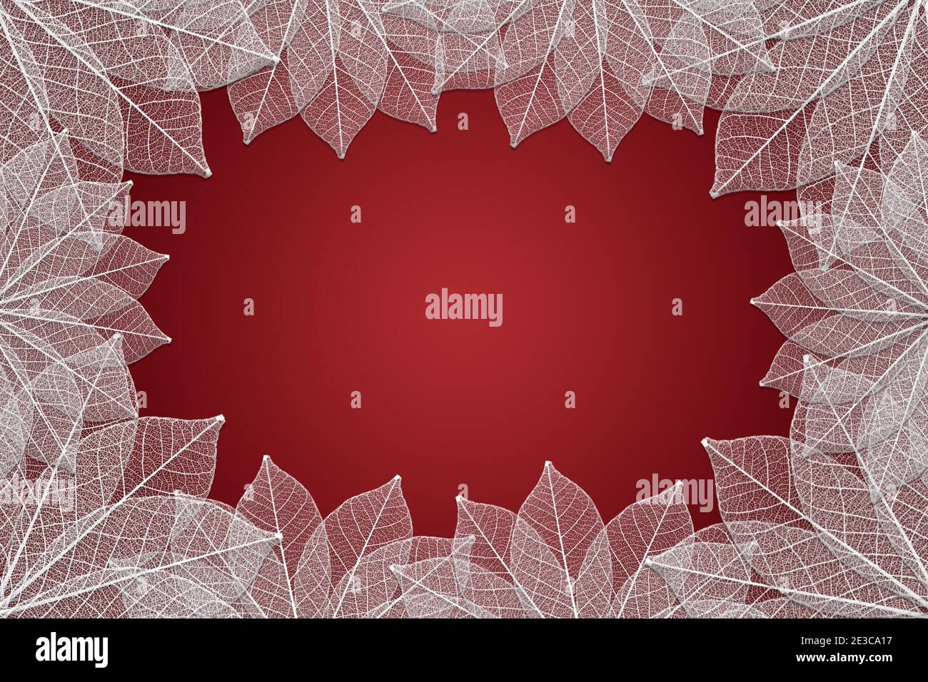 White natural leaf skeletons border frame on a red background Stock ...