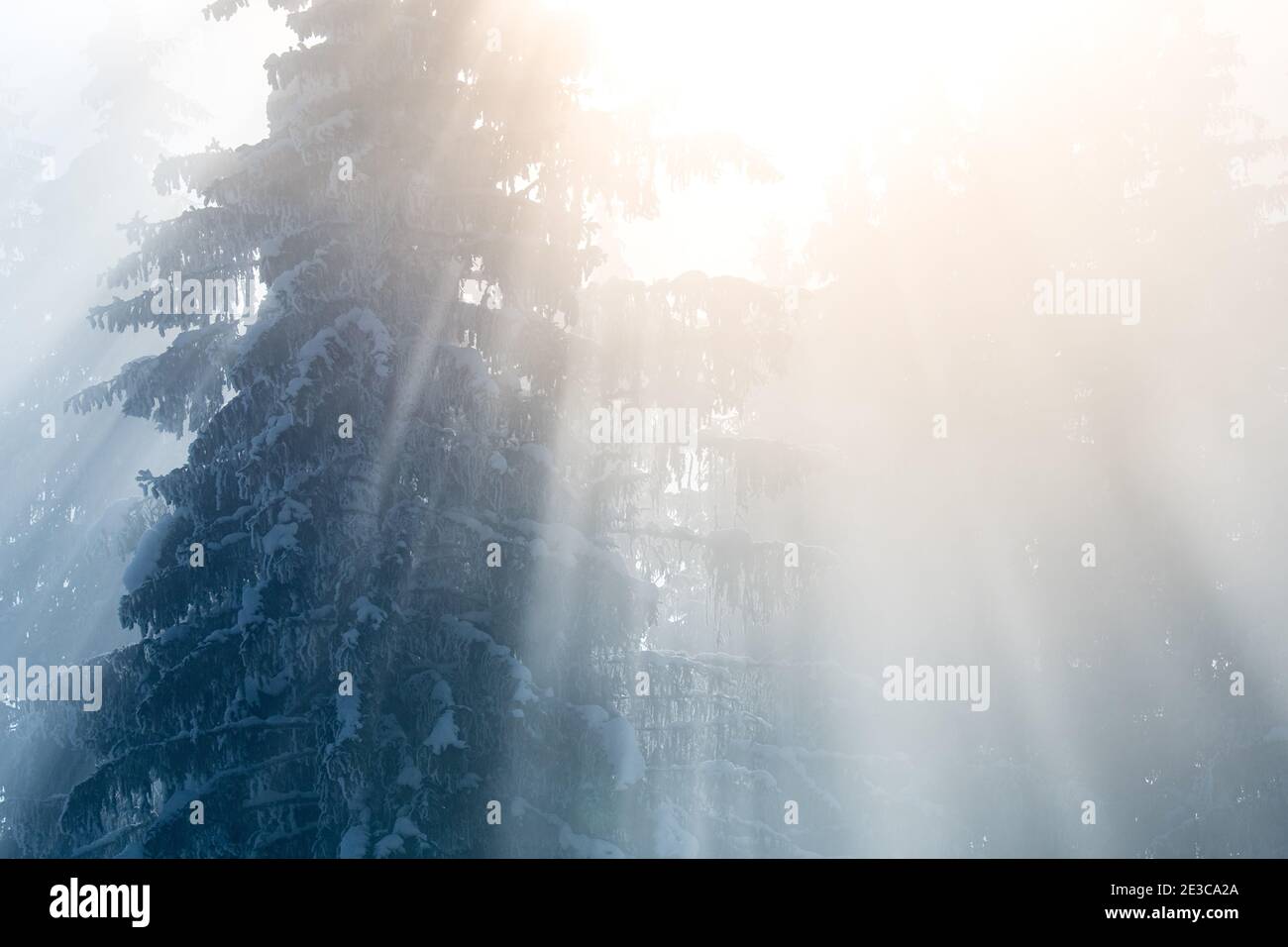 Jaun winter hi-res stock photography and images - Alamy