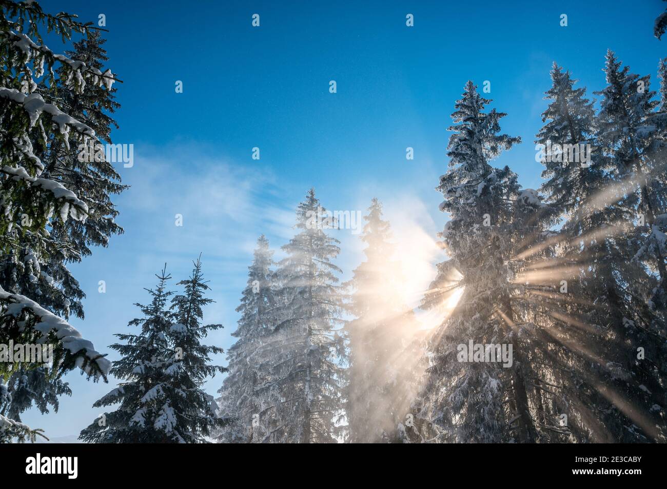 Jaun winter hi-res stock photography and images - Alamy
