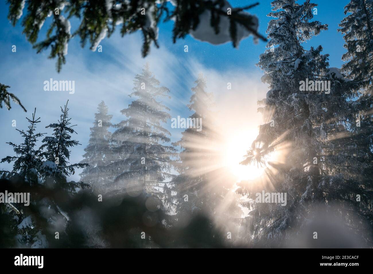 Jaun winter hi-res stock photography and images - Alamy