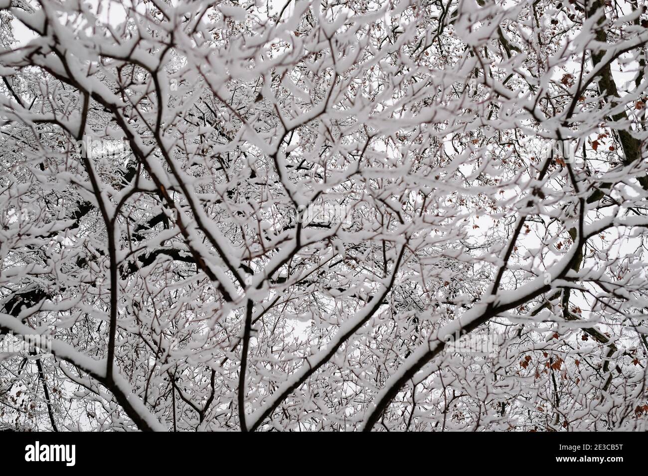 Kannenfeldpark basel hi-res stock photography and images - Alamy