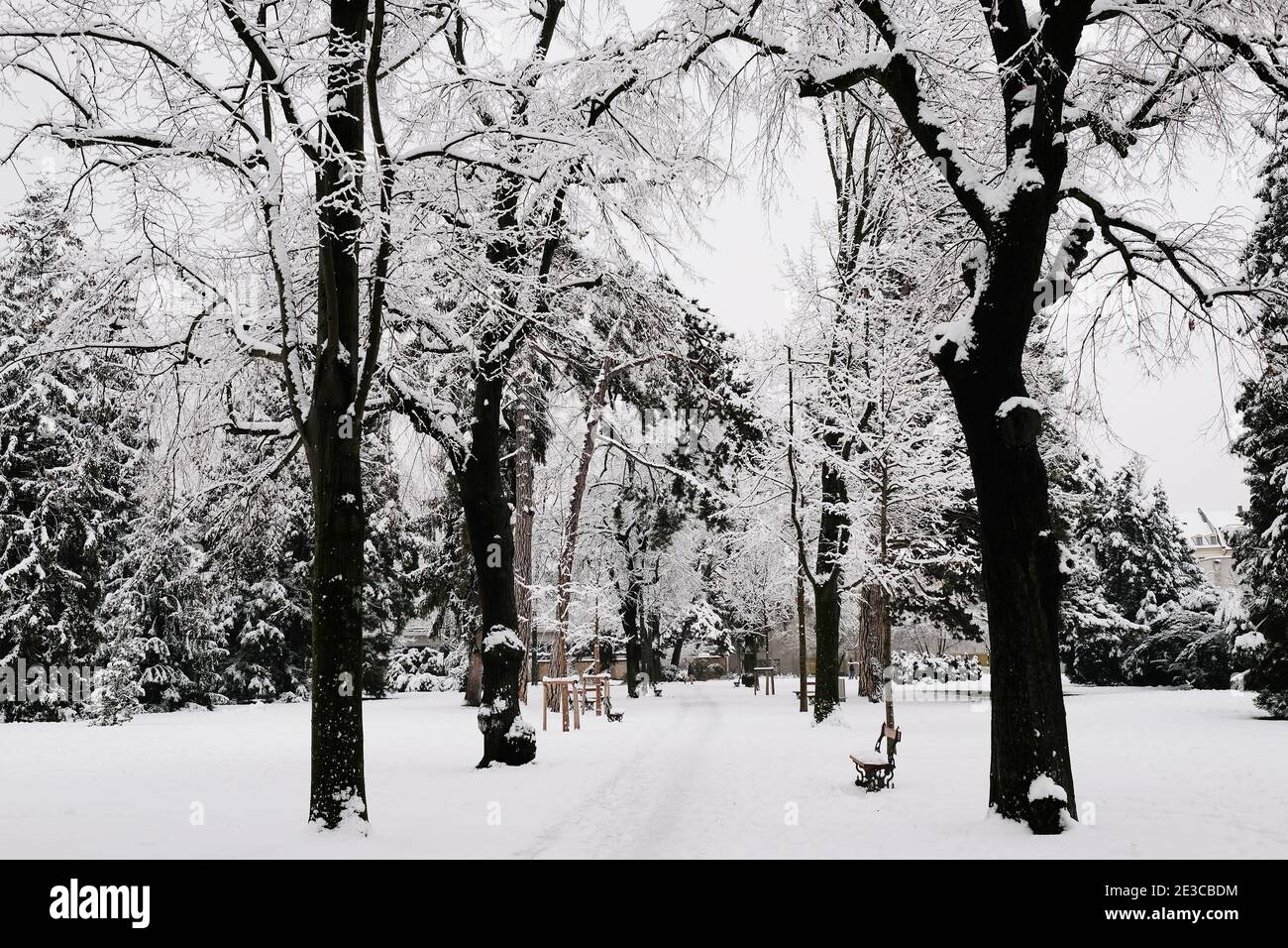 Snow, trees, Kannenfeld park, Basel, Switzerland Stock Photo - Alamy