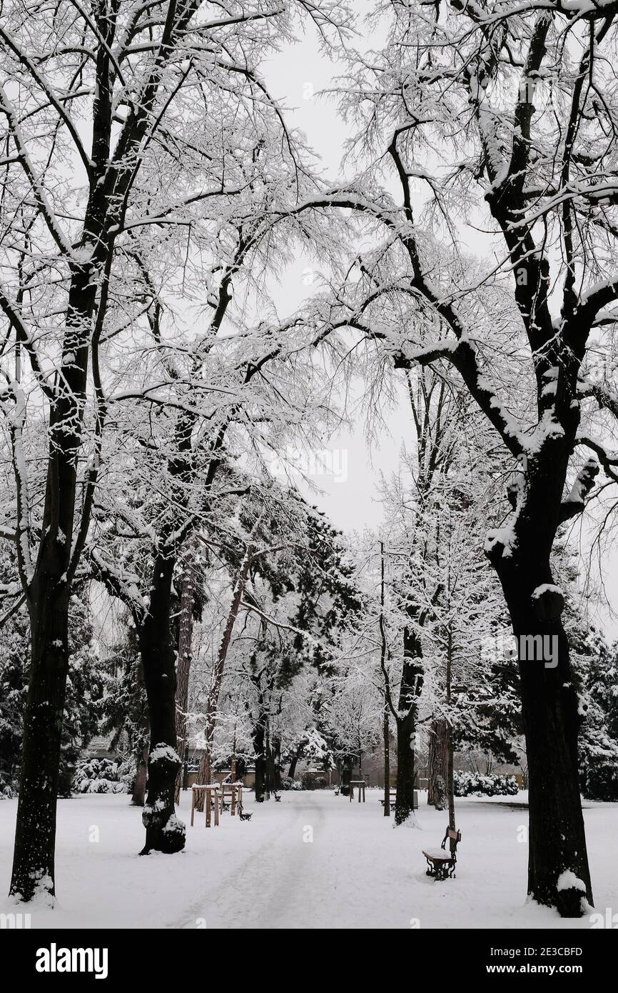 Kannenfeldpark basel hi-res stock photography and images - Alamy