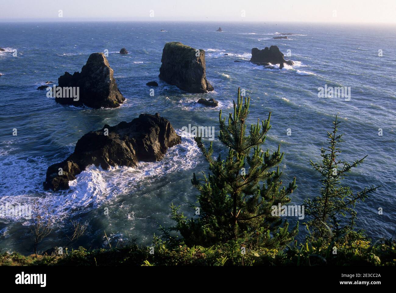 View from Arch Rock Viewpoint, Samuel Boardman State Park, Oregon Stock ...