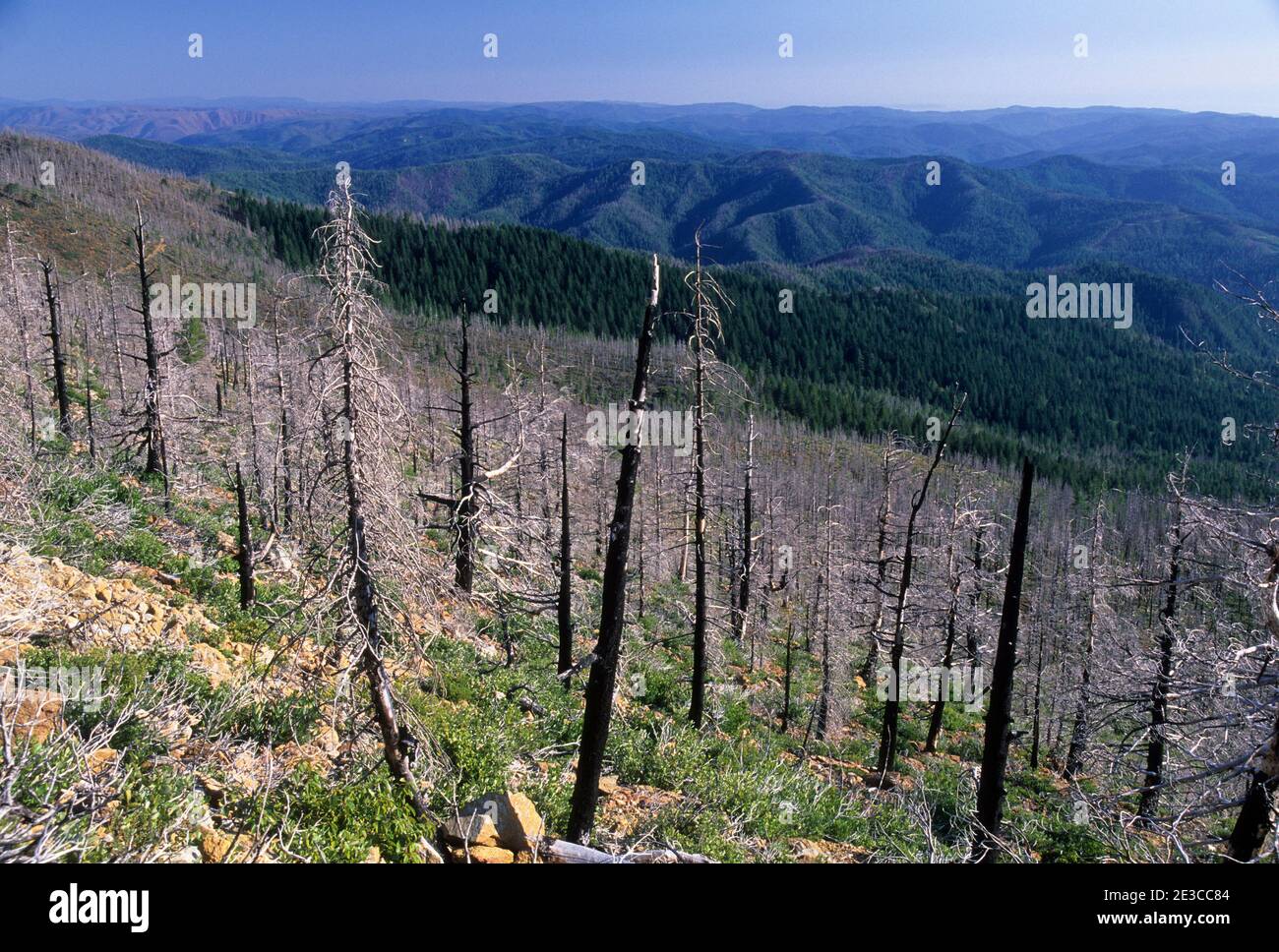Biscuit fire hi-res stock photography and images - Alamy
