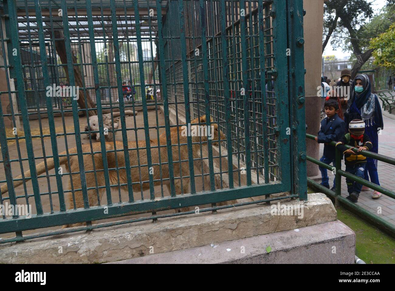 Pakistani visitors arriving at Lahore Zoo to enjoying Sunday holiday ...
