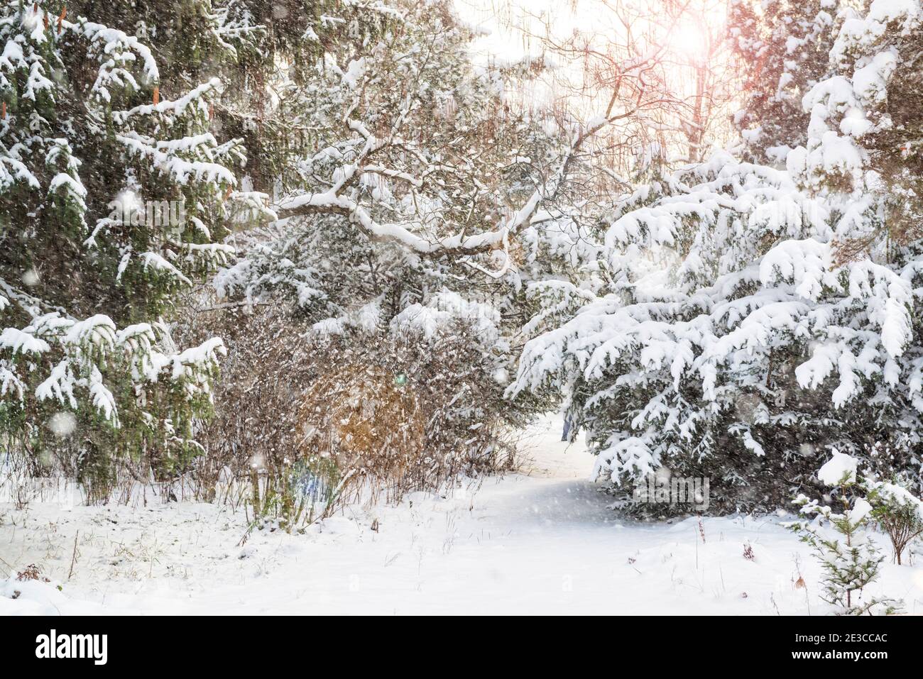 Beautiful winter landscape sunshine hi-res stock photography and images ...