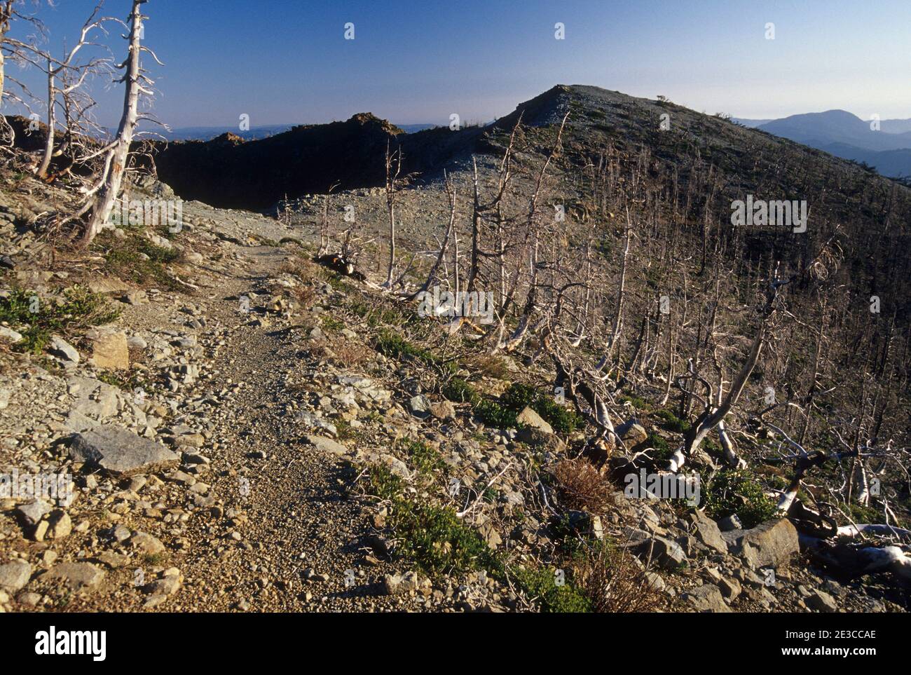 Vulcan Peak Trail through Biscuit Fire, Kalmiopsis Wilderness, Siskiyou ...