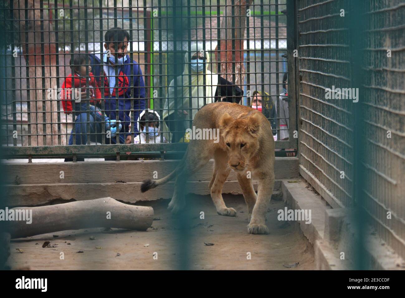 Pakistani visitors arriving at Lahore Zoo to enjoying Sunday holiday ...