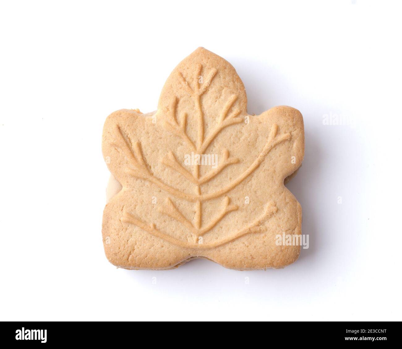 Canadian maple leaf cream cookie on white Stock Photo - Alamy