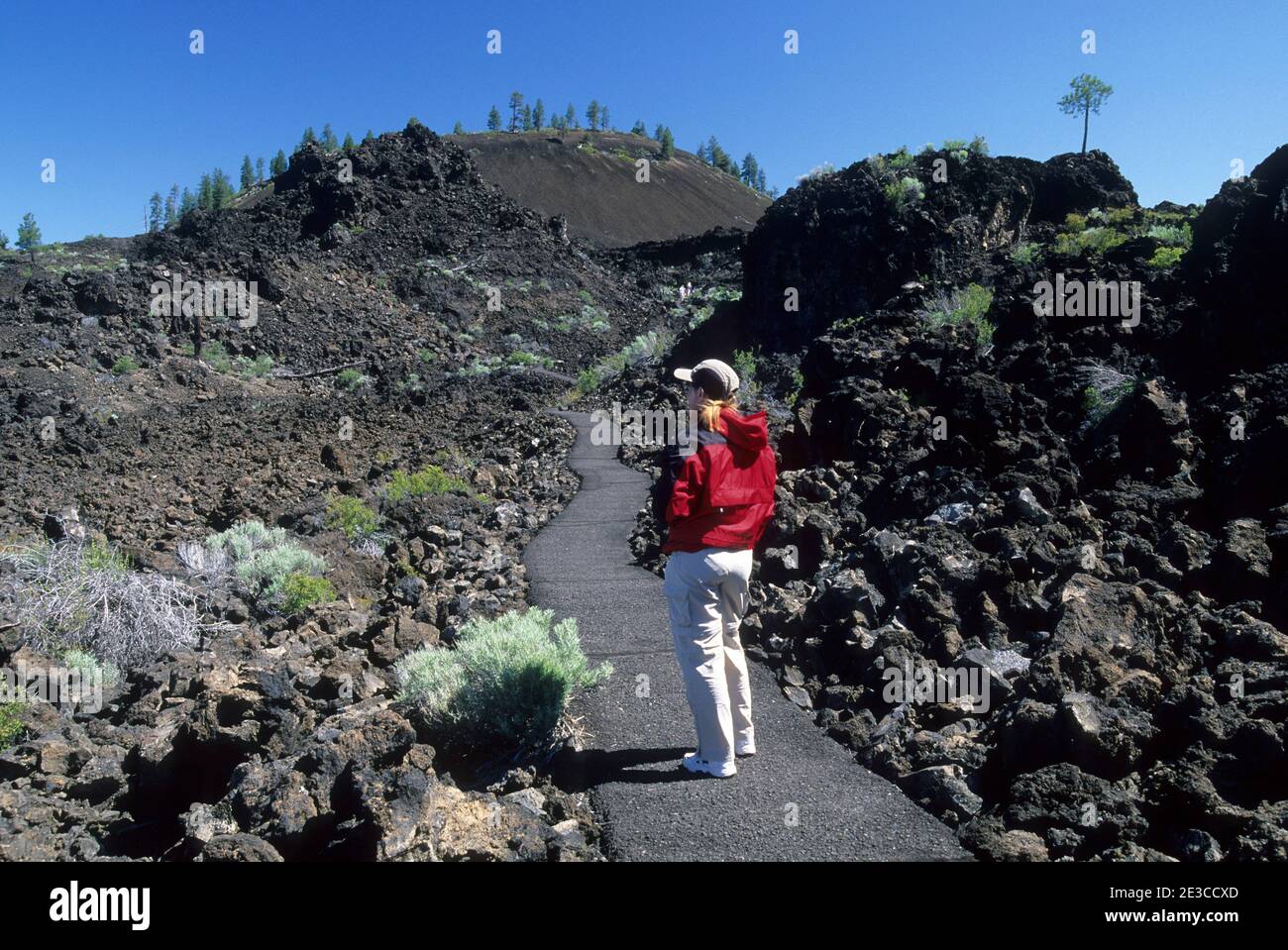 Lava Butte from Trail of the Molten Land, Newberry National Volcanic ...