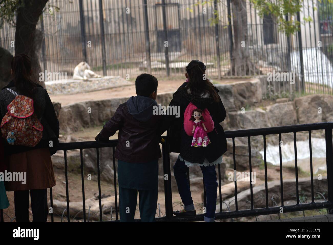 Pakistani visitors arriving at Lahore Zoo to enjoying Sunday holiday ...