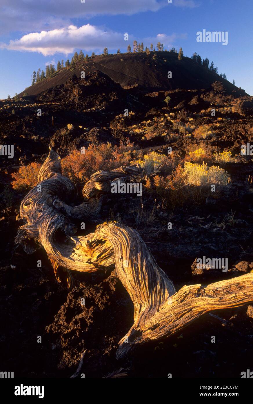 Lava lands visitor oregon hi-res stock photography and images - Alamy