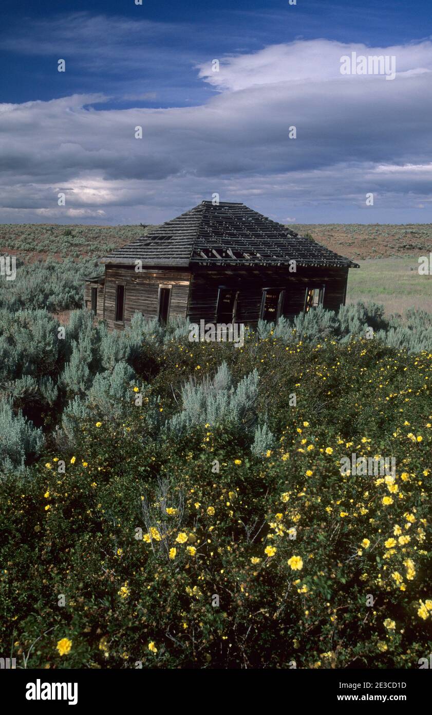 Old homestead hi-res stock photography and images - Alamy