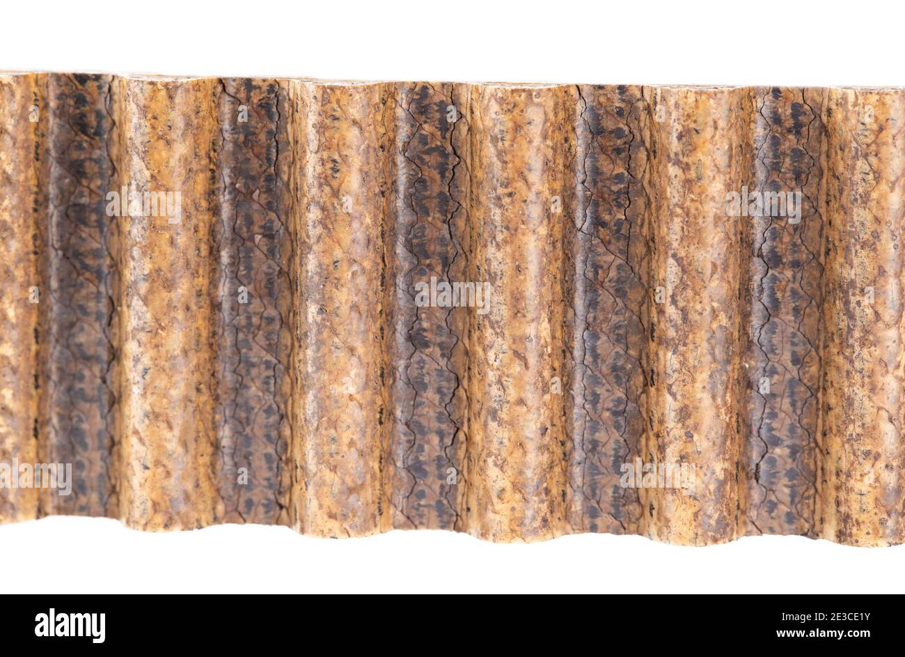 Used Timing Belt With Small Cracks Timing Belt Replacement Schedule used-timing-belt-with-small-cracks-timing-belt-replacement-schedule