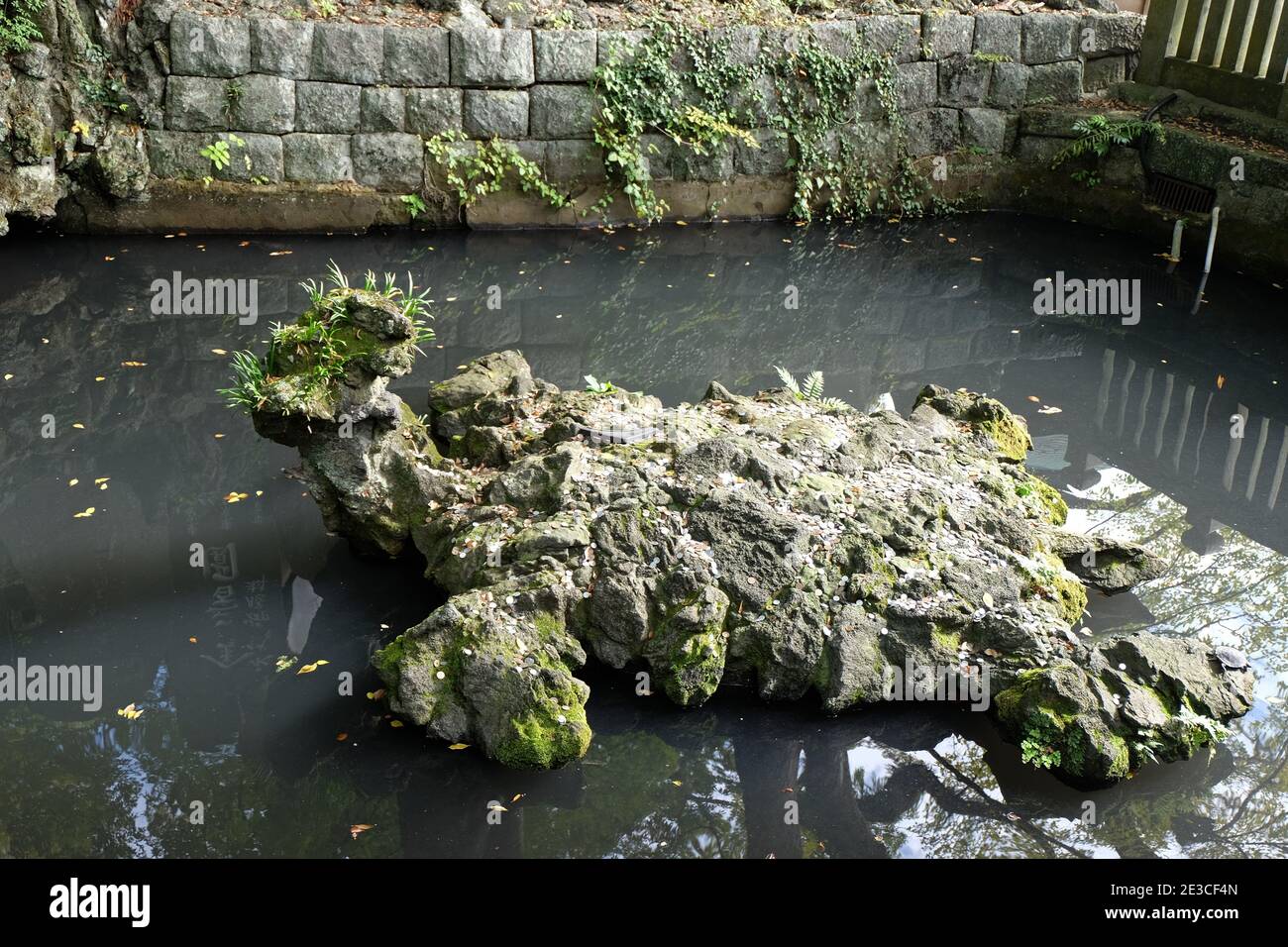 Turtle shaped rock installed in a small pond where coins are thrown to ...