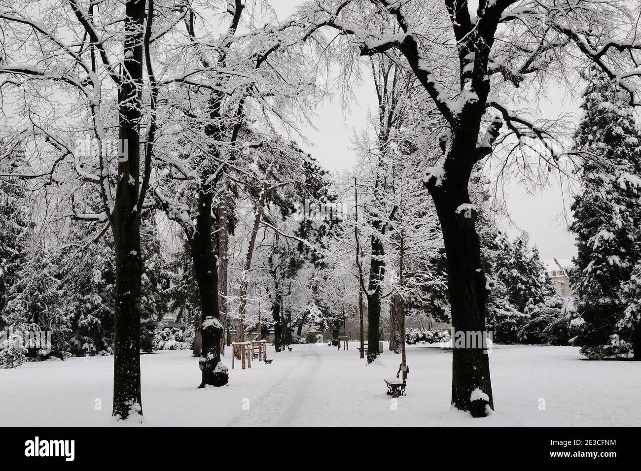 Kannenfeldpark basel hi-res stock photography and images - Alamy