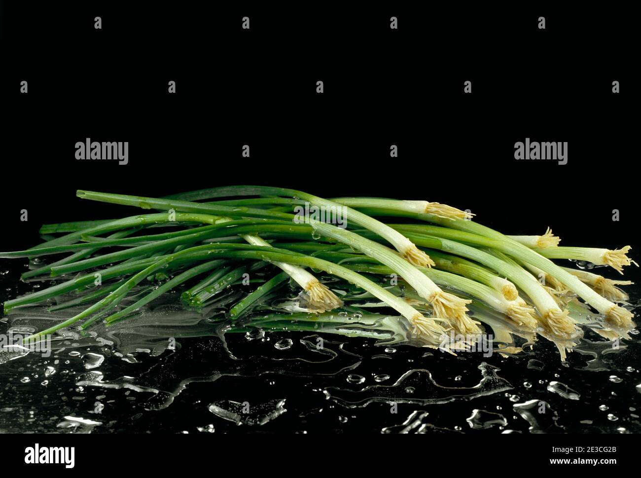 A studio stilllife of scallions Stock Photo - Alamy