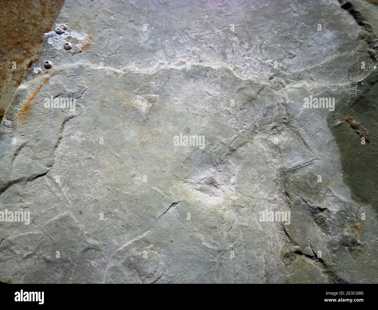 Surface sandy rock. Rocky shore of the Caspian Sea Stock Photo - Alamy