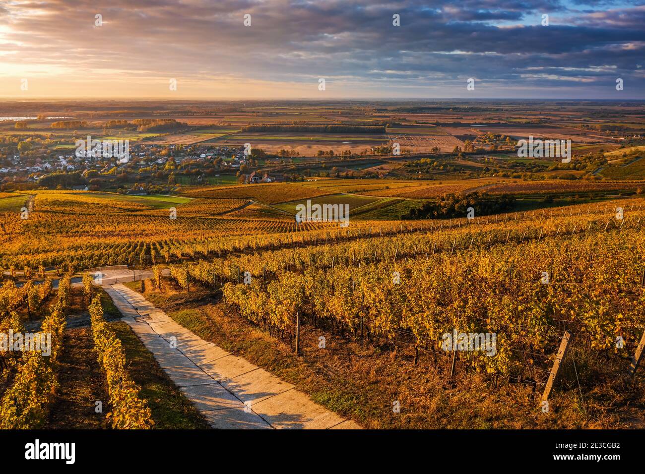 Tokaj wine cellar hi-res stock photography and images - Alamy