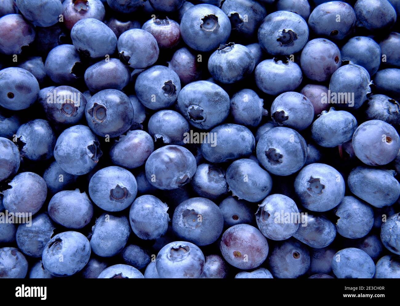 Closeup still life hi-res stock photography and images - Alamy