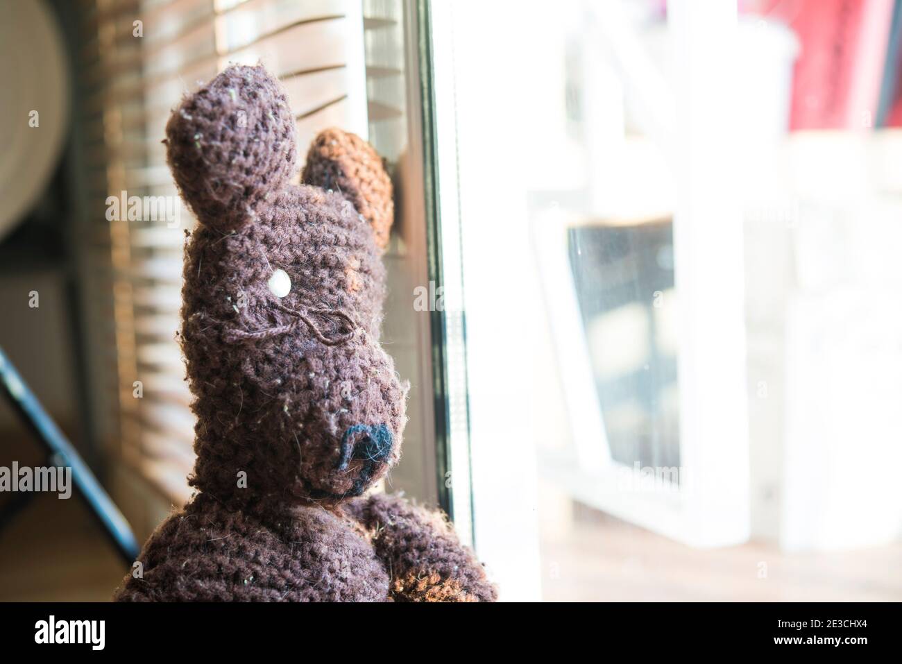 teddy bear in home Stock Photo - Alamy