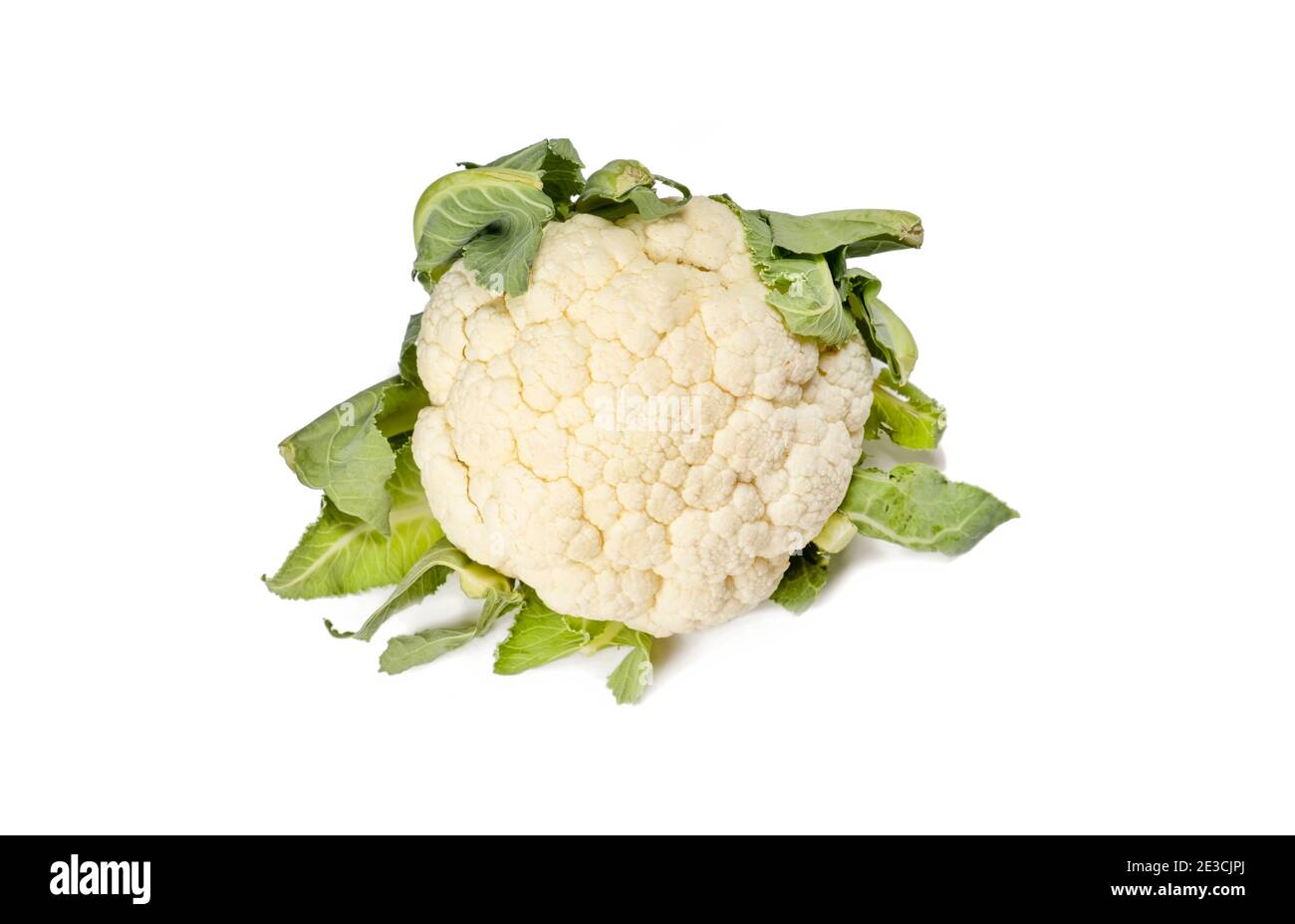 Eating vegetables isolated on white hi-res stock photography and images ...