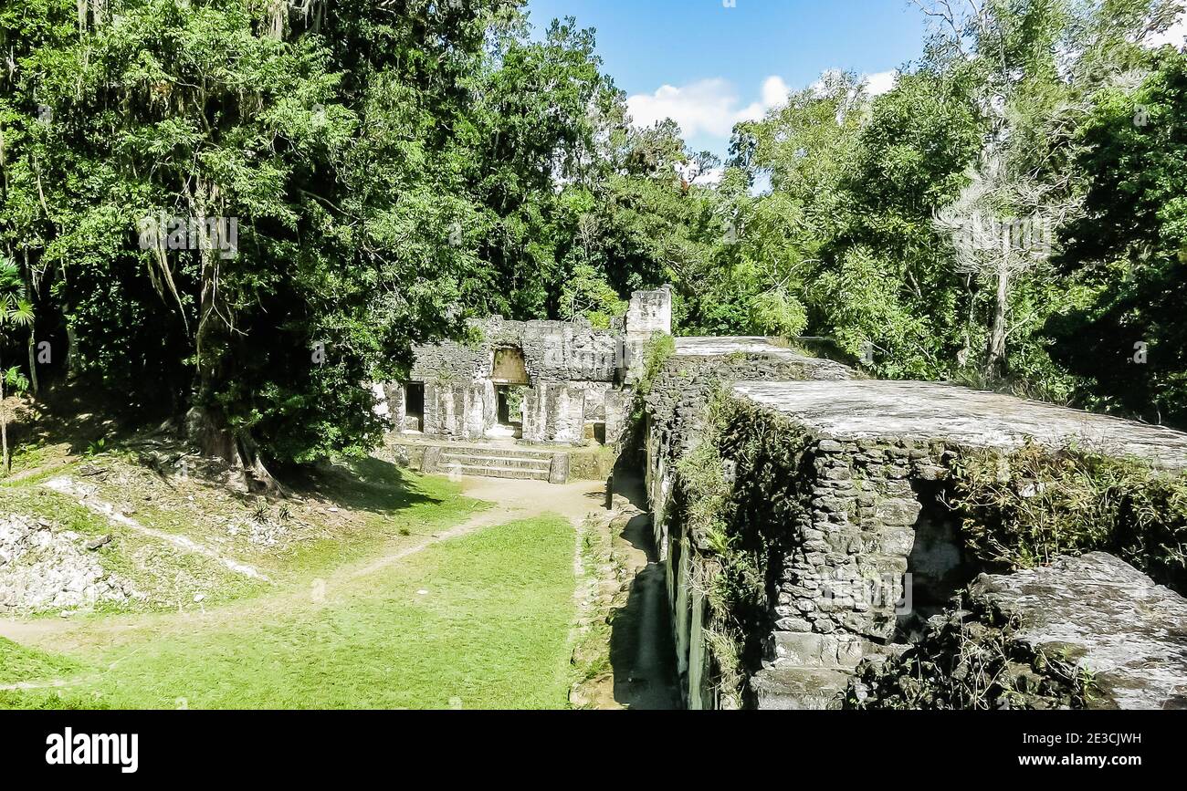 Famous ancient Mayan temples in Tikal National Park, Guatemala, Central ...