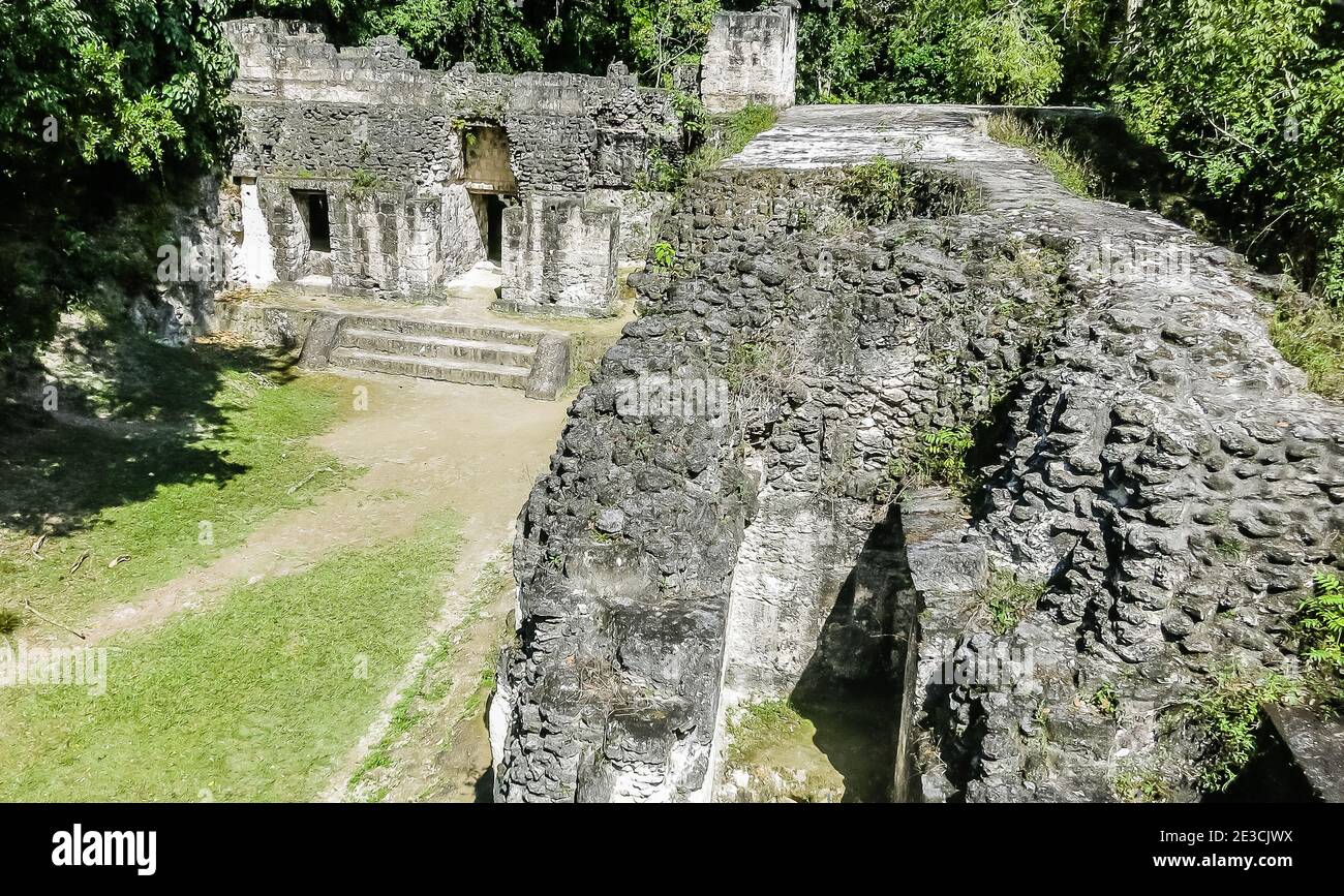 Famous ancient Mayan temples in Tikal National Park, Guatemala, Central ...