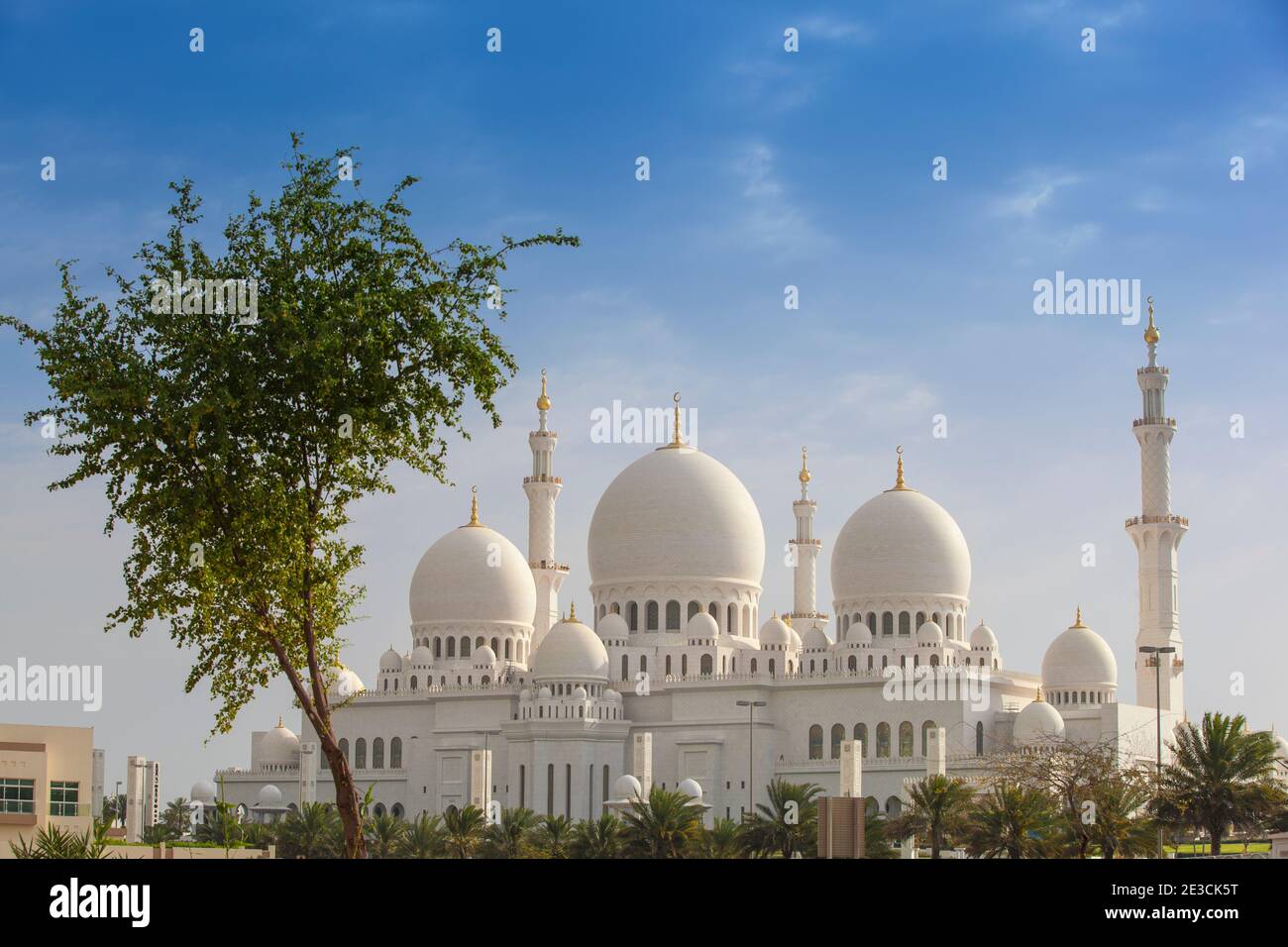 United Arab Emirates, Abu Dhabi, Sheikh Zayed Grand Mosque Stock Photo ...