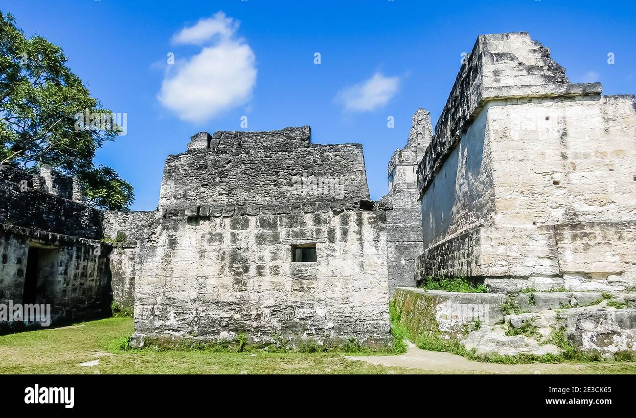 Famous ancient Mayan temples in Tikal National Park, Guatemala, Central ...
