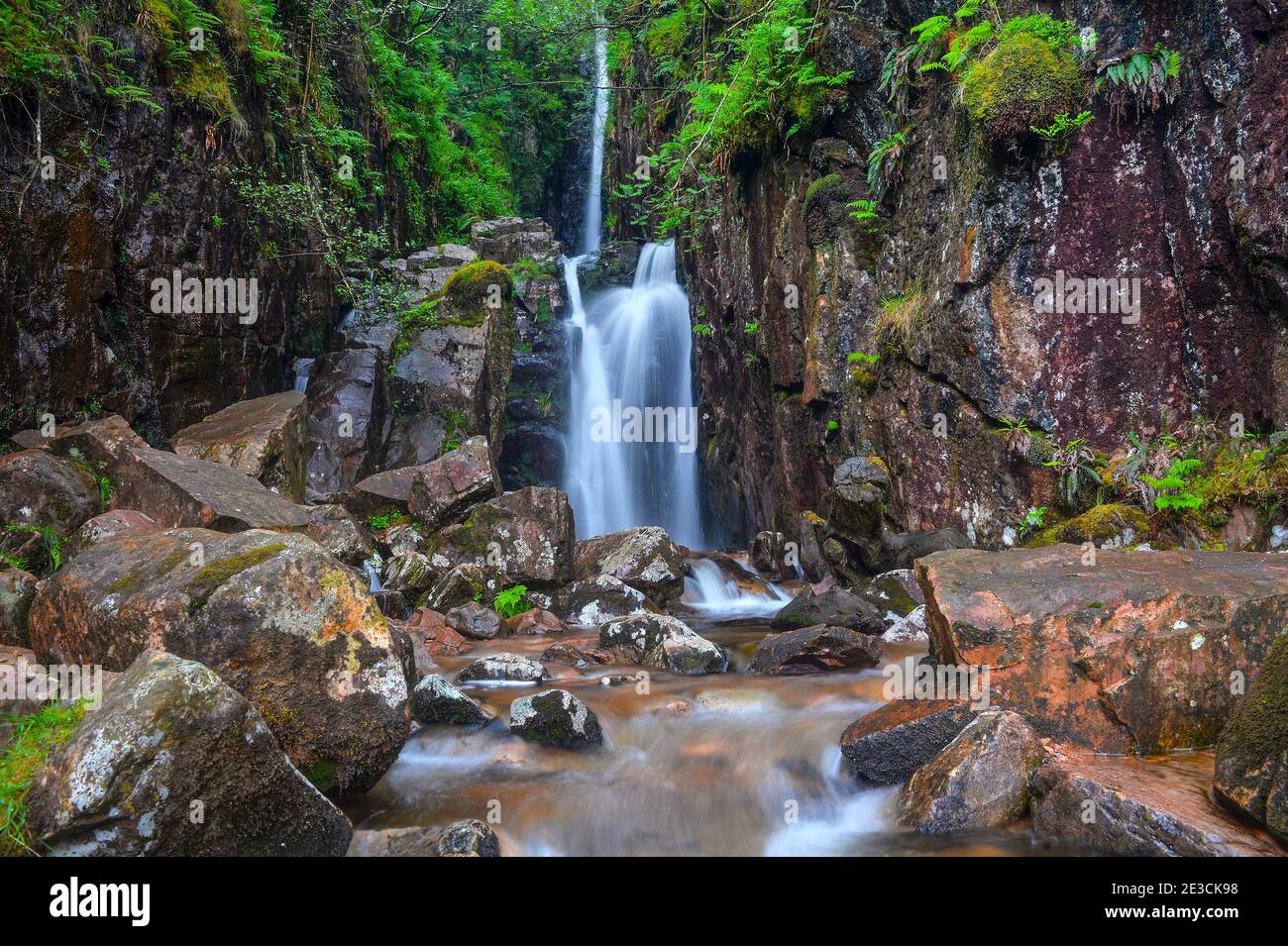 Force scale hi-res stock photography and images - Alamy