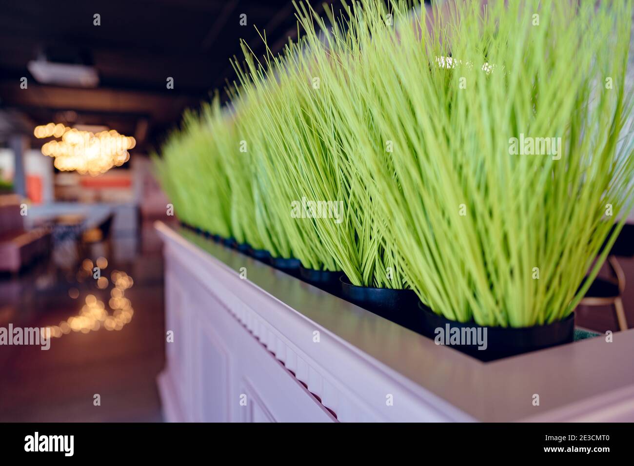 Fake grass in long planter in a mall Stock Photo - Alamy