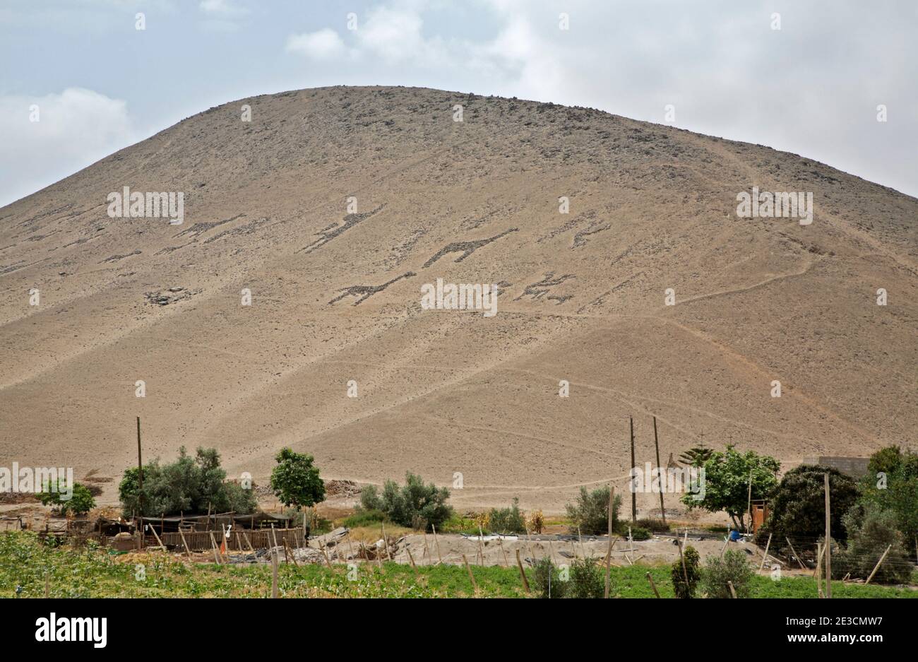 Geoglyphs chile hi-res stock photography and images - Alamy