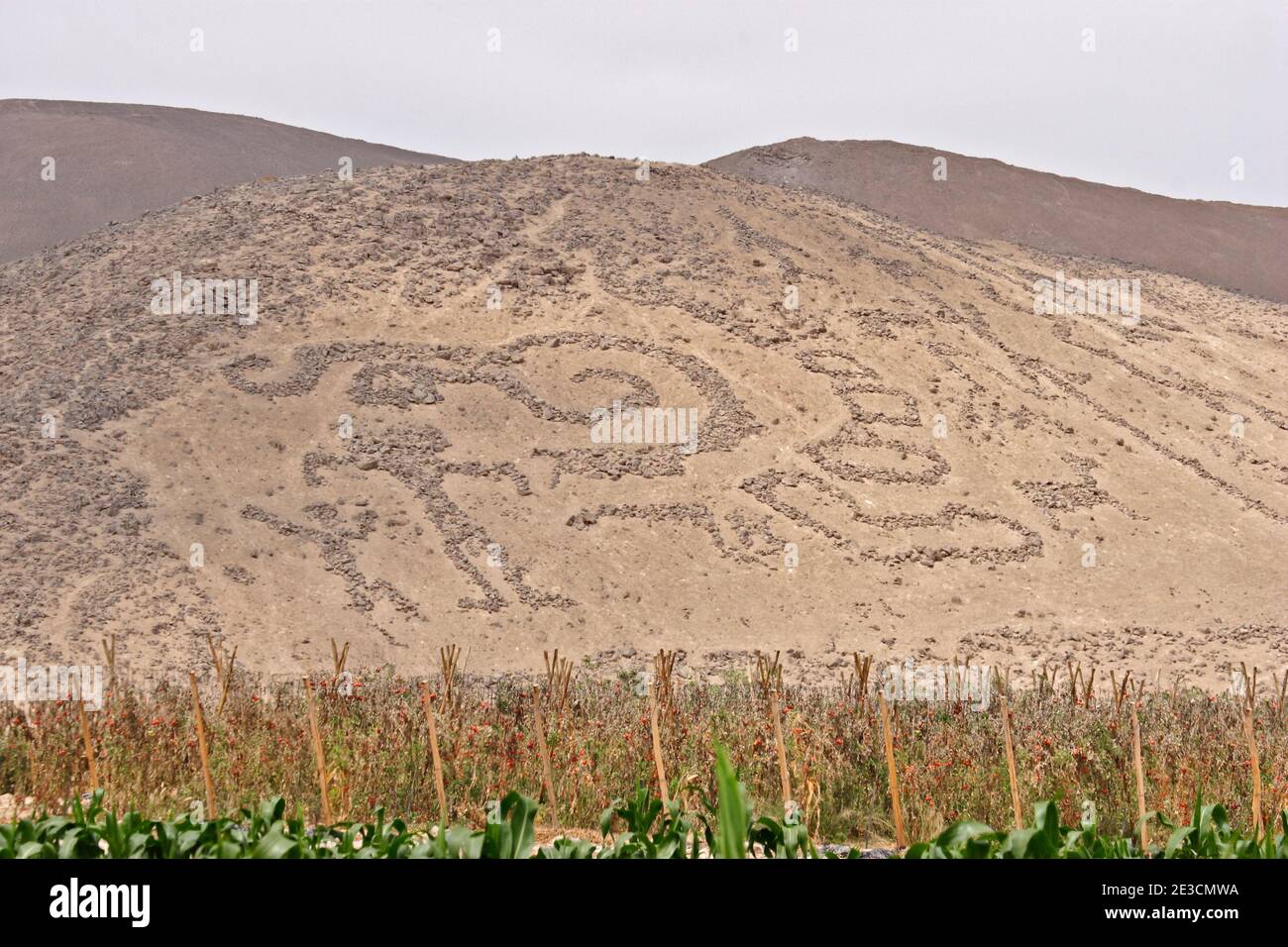 Geoglyphs chile hi-res stock photography and images - Alamy