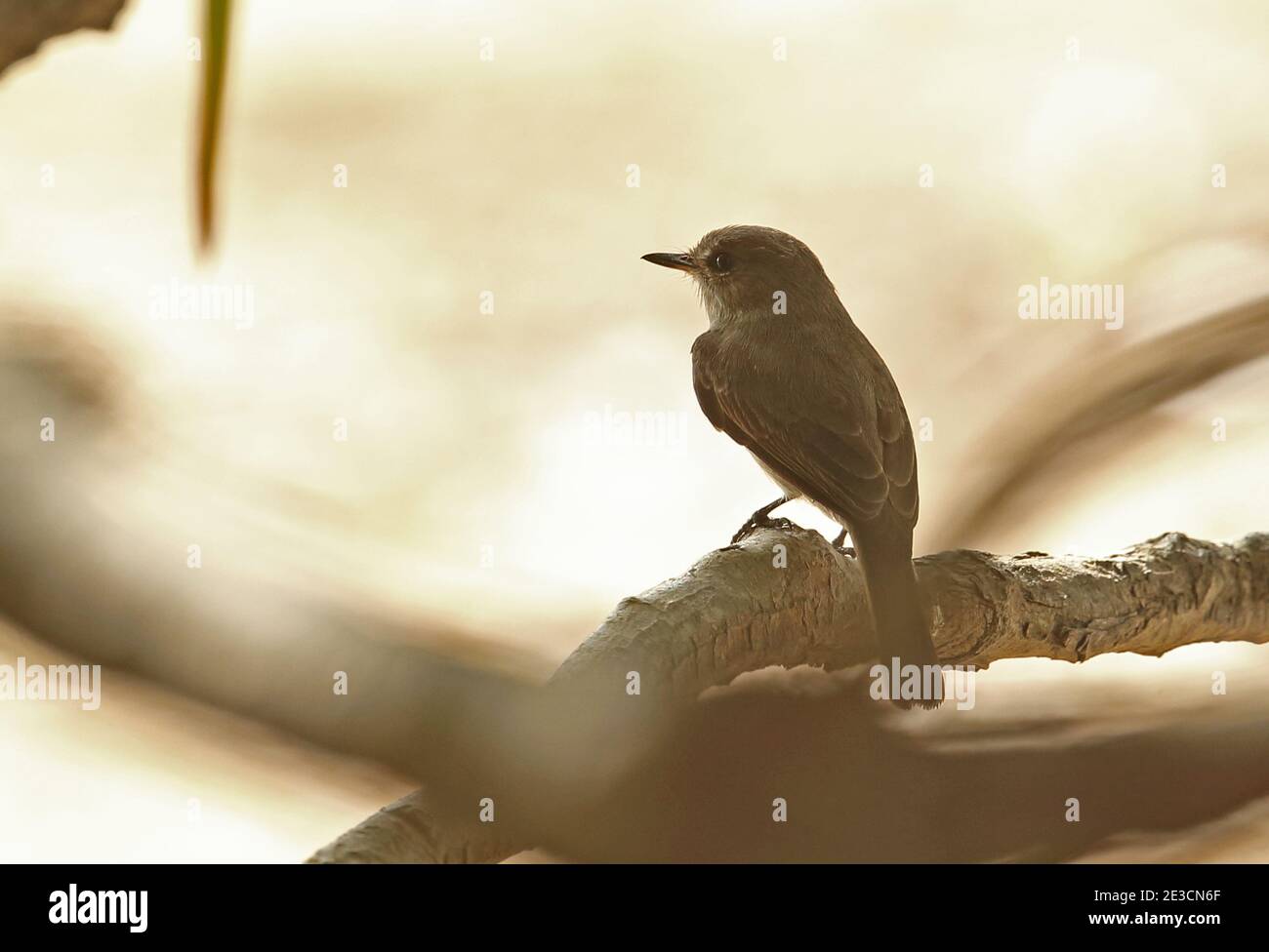 Aquatica park hi-res stock photography and images - Alamy