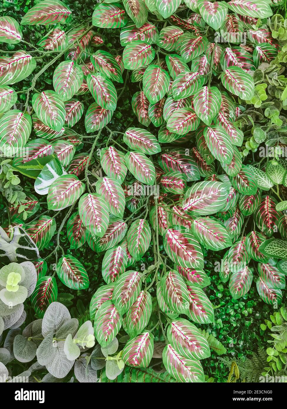 Many beautiful artificial green plant decoration on the wall and make ...