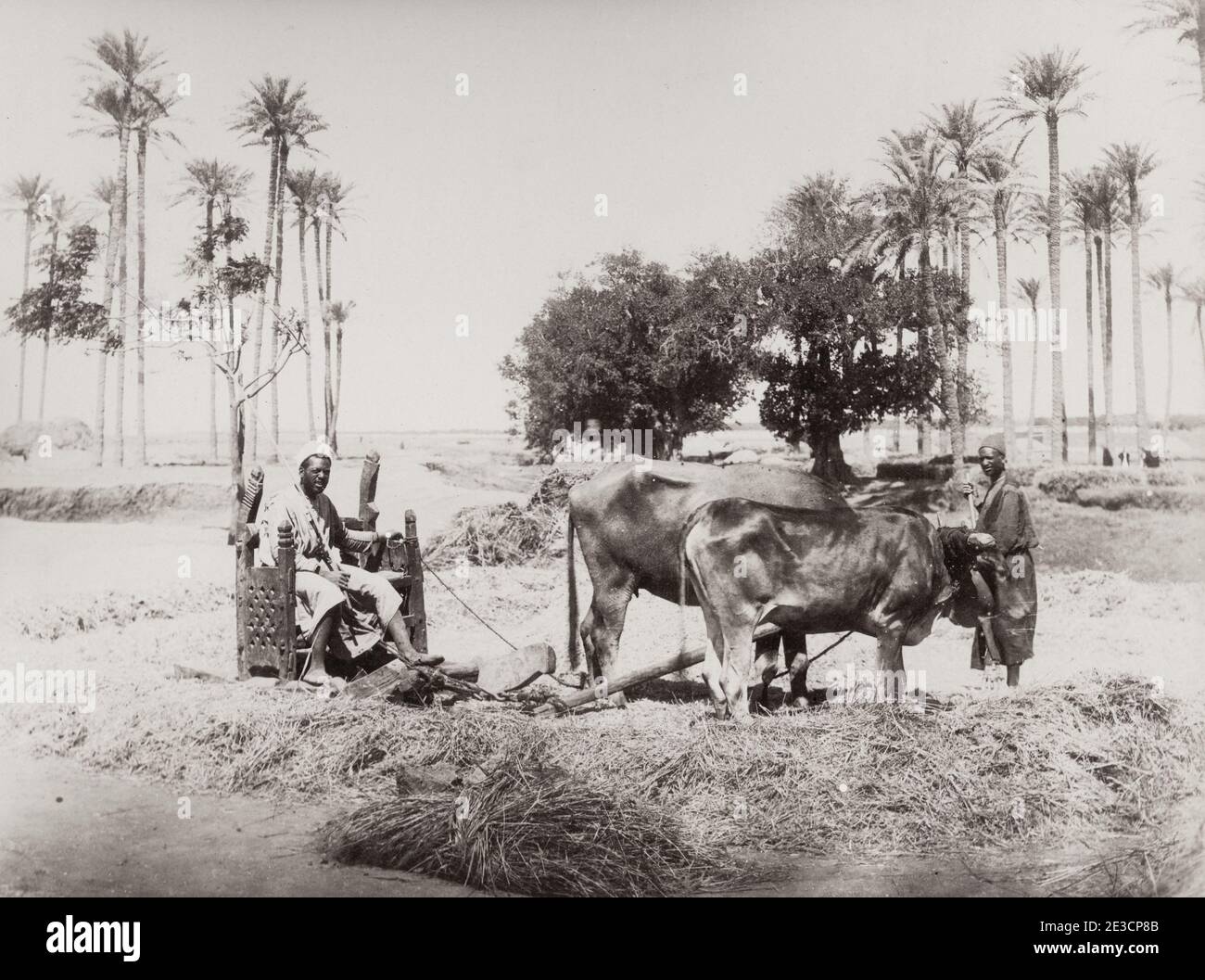 Farming 19th century hi-res stock photography and images - Alamy