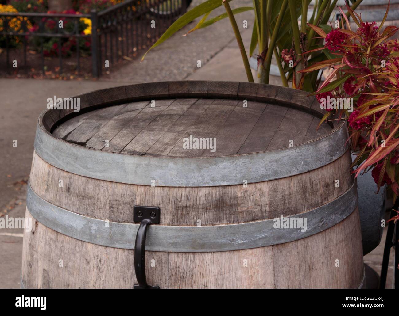 Bilge hoop hi-res stock photography and images - Alamy