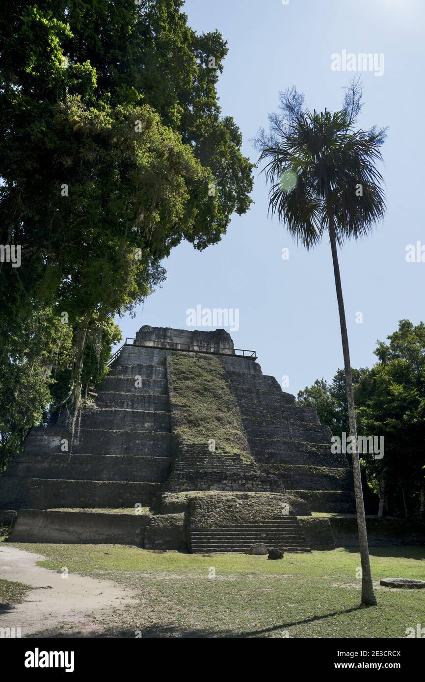 Yaxha, Guatemala, Central America: Pyramid/Structure 216 at ...