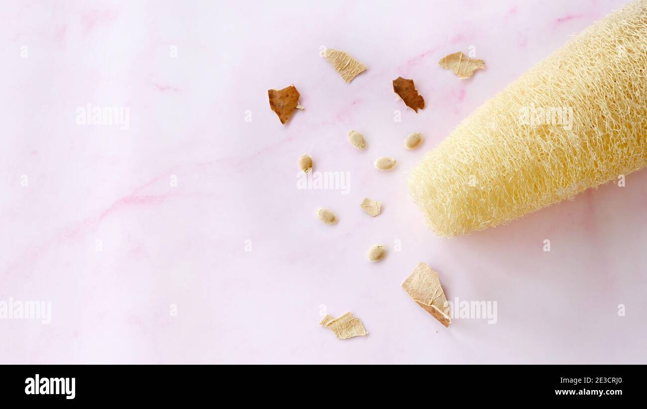 Sustainable Loofah High Resolution Stock Photography and Images - Alamy